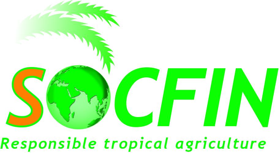 Home | RSPO Smallholder Trainer Academy | RSPO Smallholder Trainer Academy